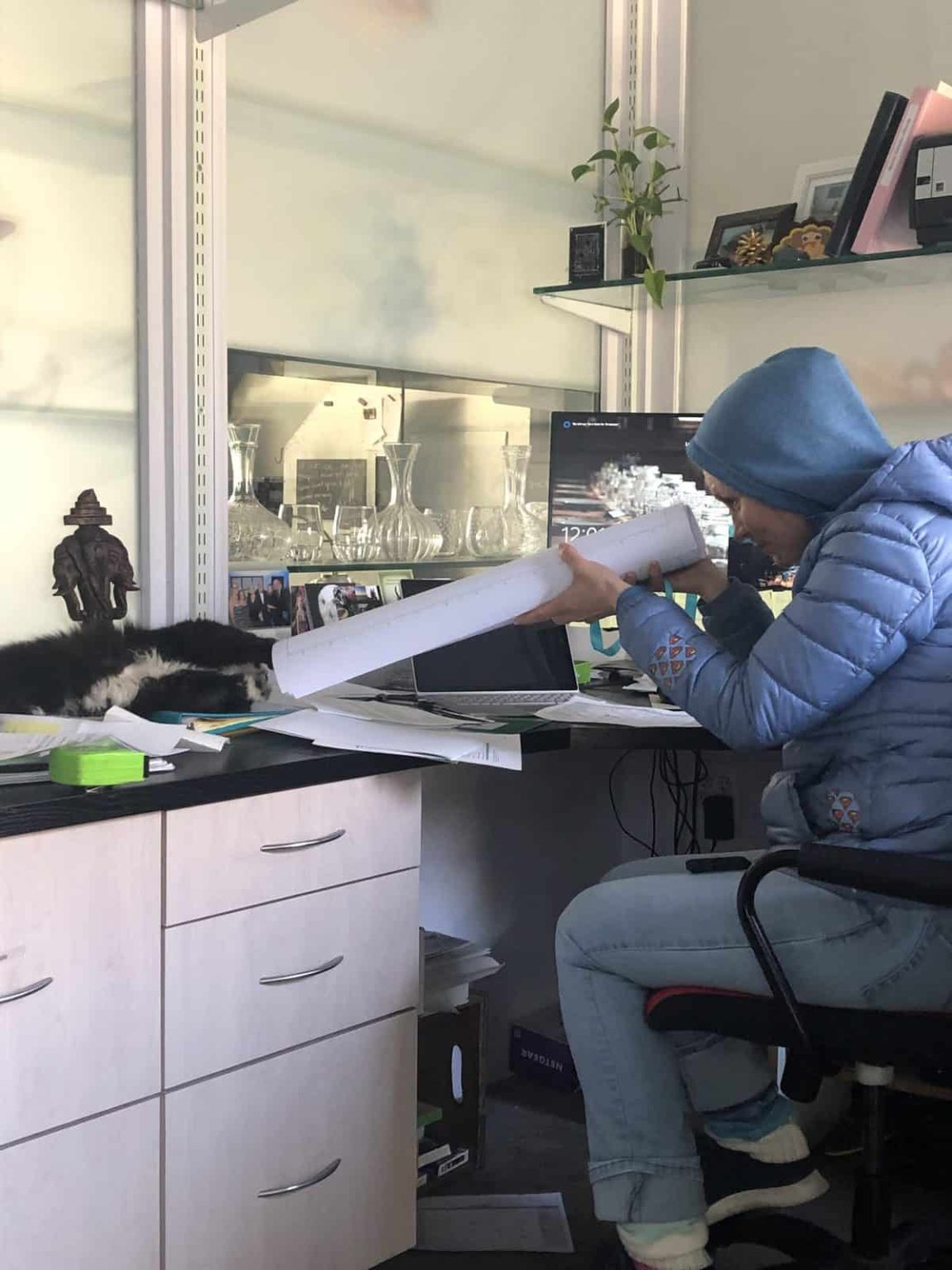 The History of Cat Jack White | epiphany studios