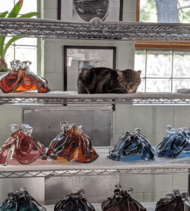 The History of Cat Jack White | epiphany studios