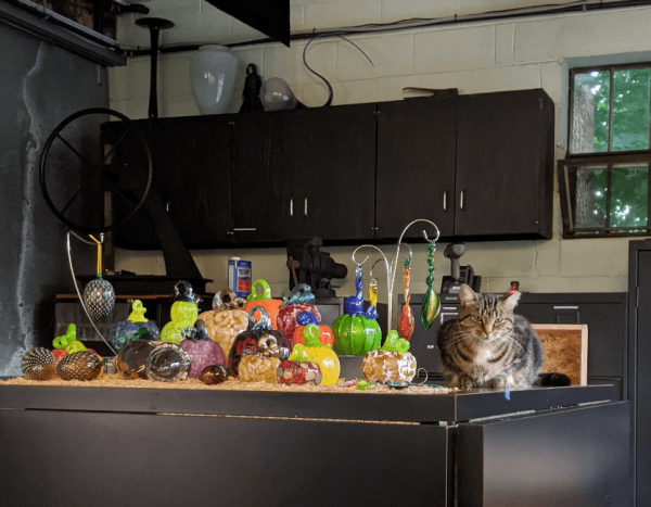 The History of Cat Jack White | epiphany studios