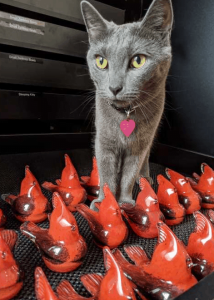 The History of Cat Jack White | epiphany studios