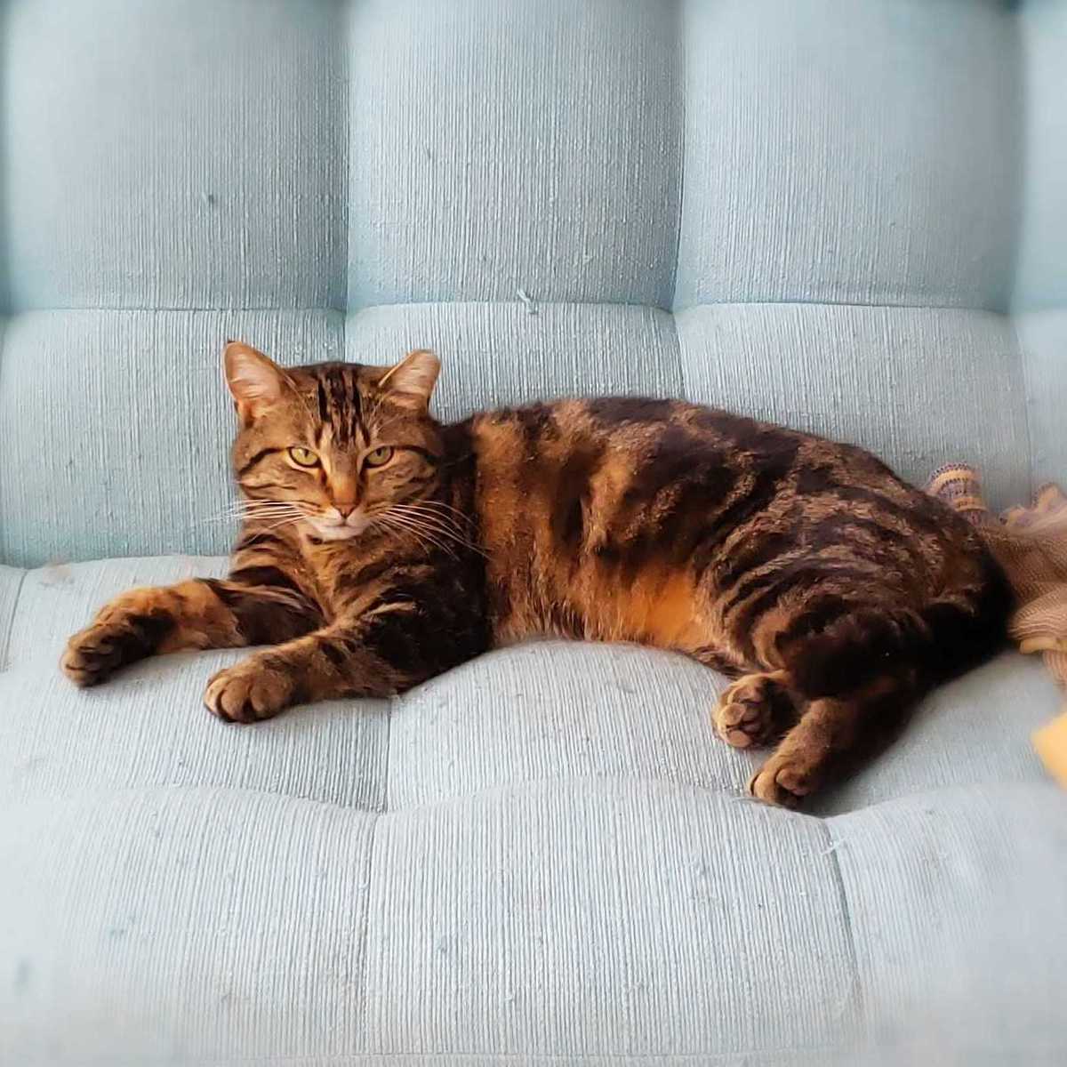 MK | epiphany studios