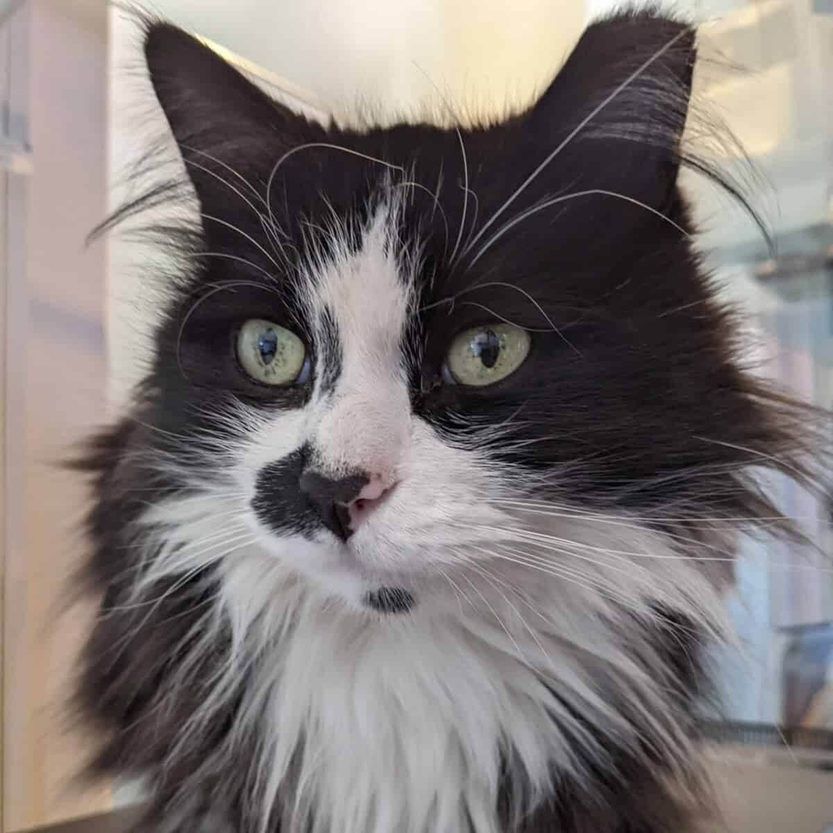 Jack White | epiphany studios