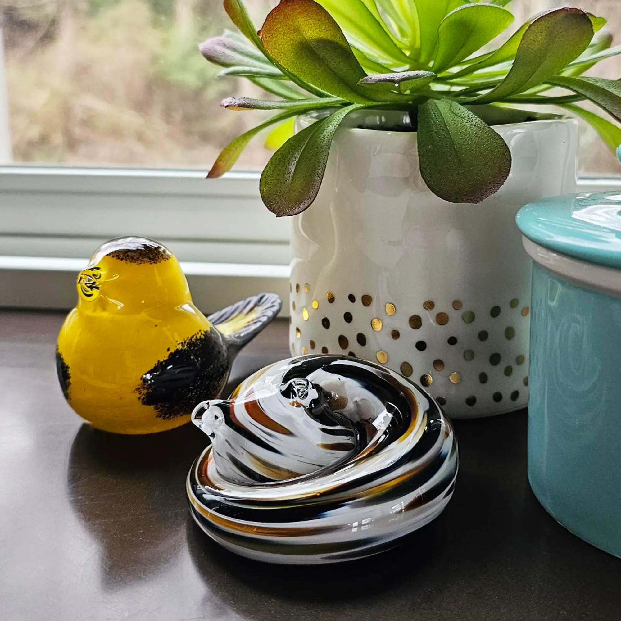 Signature Series | epiphany studios